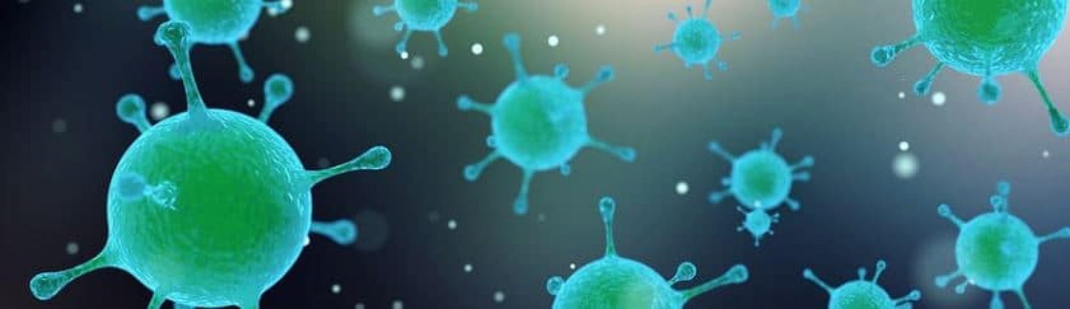 Comment reconnaître un érysipèle ? - CCOPF